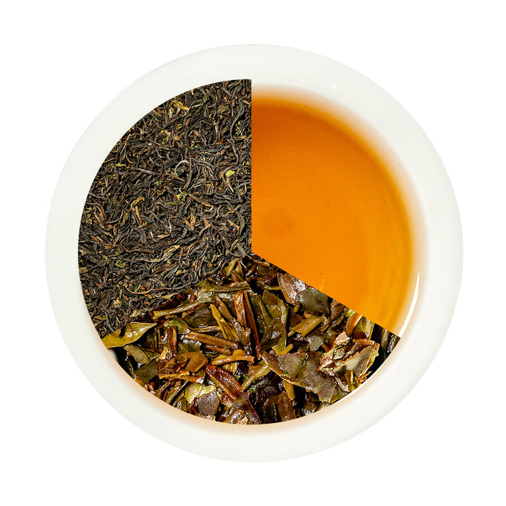 Himalko Tea French Tea Press | French Press Tea Maker Online